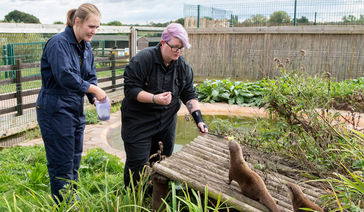 BSc Zoo Animal Management and Conservation Top-up (Level 6) – South ...