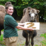 Animal Care and Management – South Staffordshire College