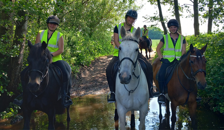 Equine – South Staffordshire College