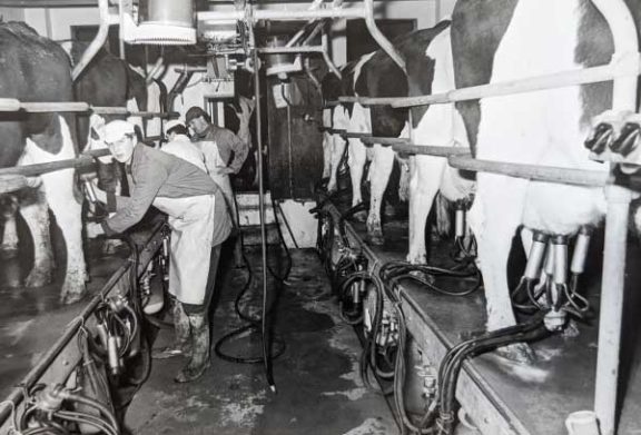 The Rodbaston Estate – South Staffordshire College