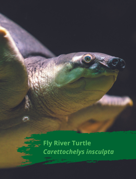 Our animals – South Staffordshire College