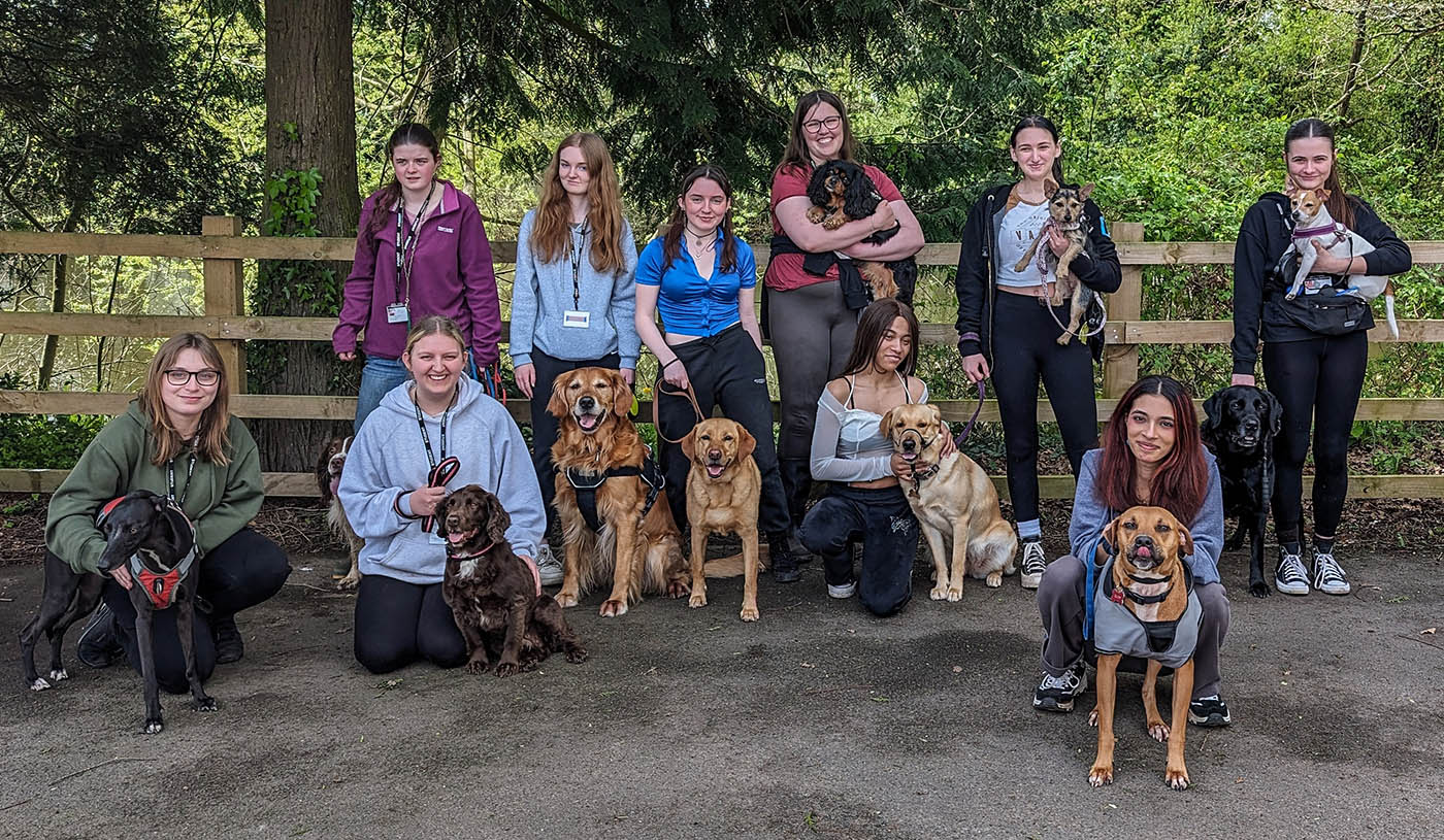 Canine Care, Behaviour and Welfare - Level 3 – South Staffordshire College