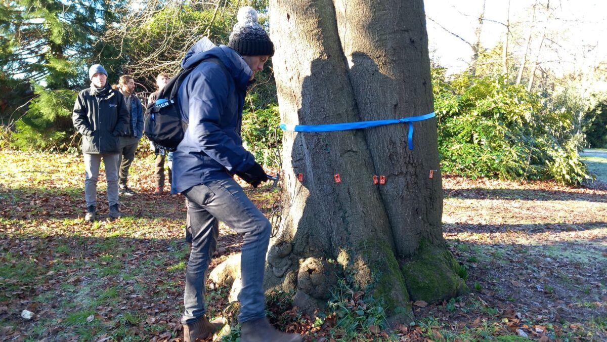 Rodbaston College hosts arboriculture masterclass event – South ...