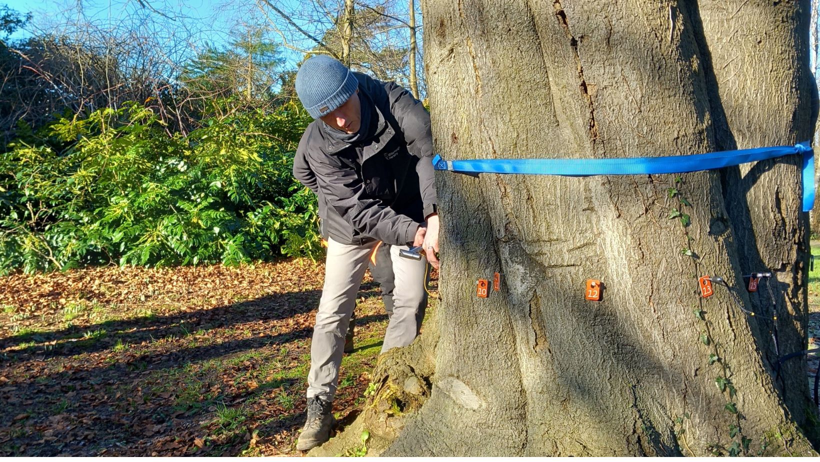 Rodbaston College hosts arboriculture masterclass event – South ...