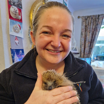 Hedgehog Friendly Campus – South Staffordshire College