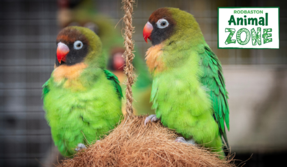 Rodbaston Animal Zone – South Staffordshire College