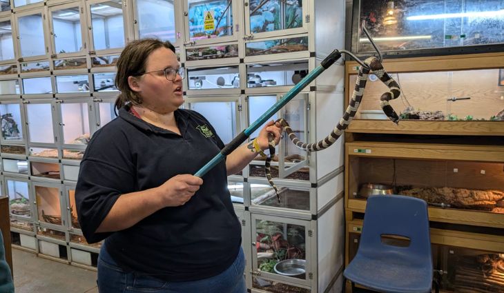 Professional Certificate in Safety Protocols for Exotic Animal Handling ...